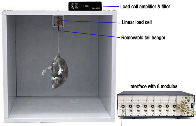 MPD: Pletcher1: project protocol